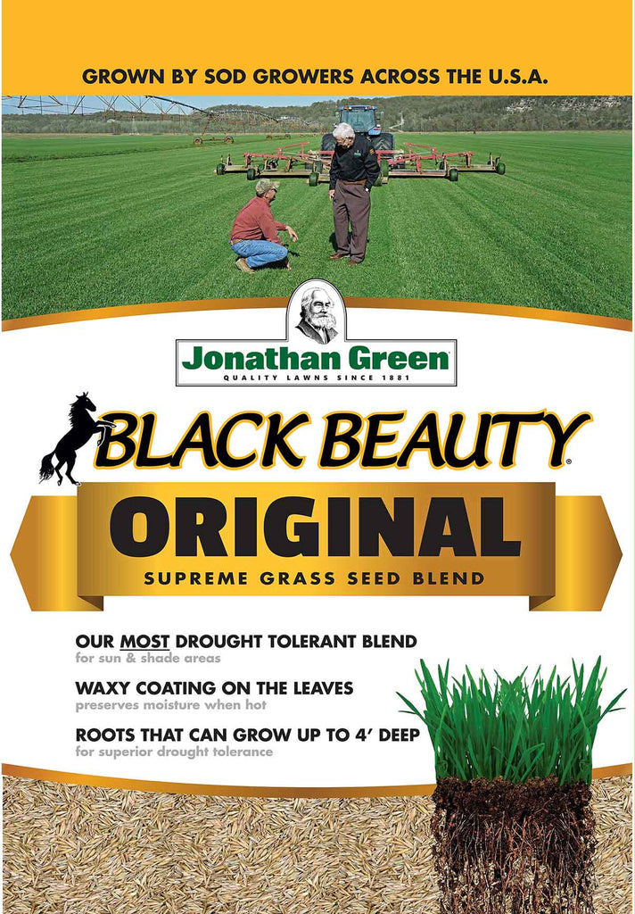 Black Beauty Original Grass Seed | Jonathan Green – Yard Mastery