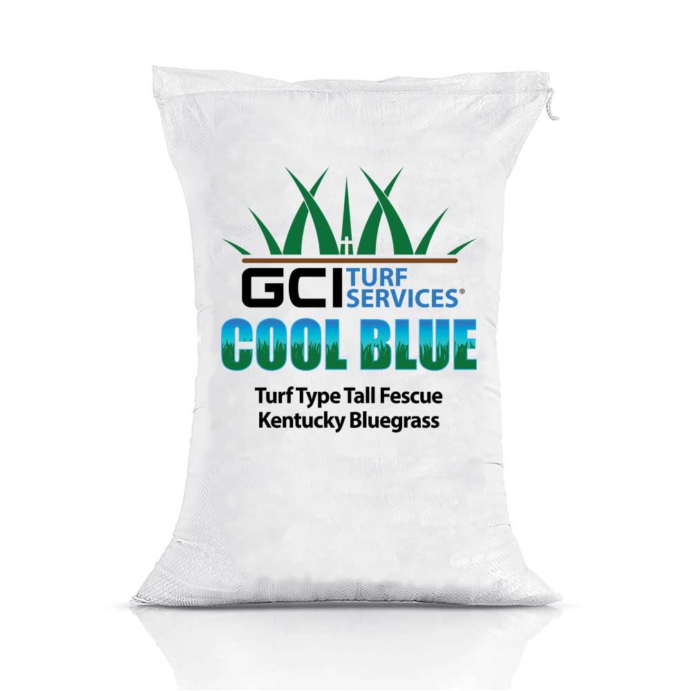 Cool Blue Turf Type Tall Fescue/Kentucky Bluegrass Grass Seed | GCI ...